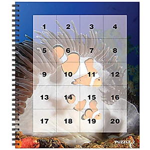 Brain Games - Sticker by Number: Ocean Life (Easy - Square Stickers): Create Beautiful Art With Easy to Use Sticker Fun!