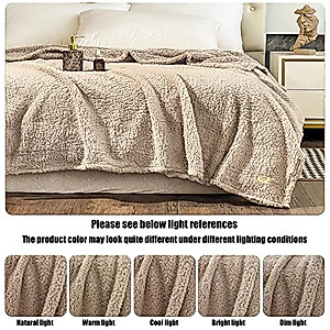 GONAAP Sherpa Fleece Throw Blanket Plush Fluffy Cozy Lightweight Blanket for Bed Sofa Couch Travel(Twin(60"x80"), Taupe)
