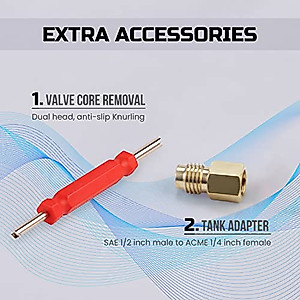 Lichamp A/C R134A Adapters with Puncture 134A Can Tap, AC 134 Quick Coupler Hose Connector Fitting Kit with Tank Adapter and Valve Core Remover, QA02