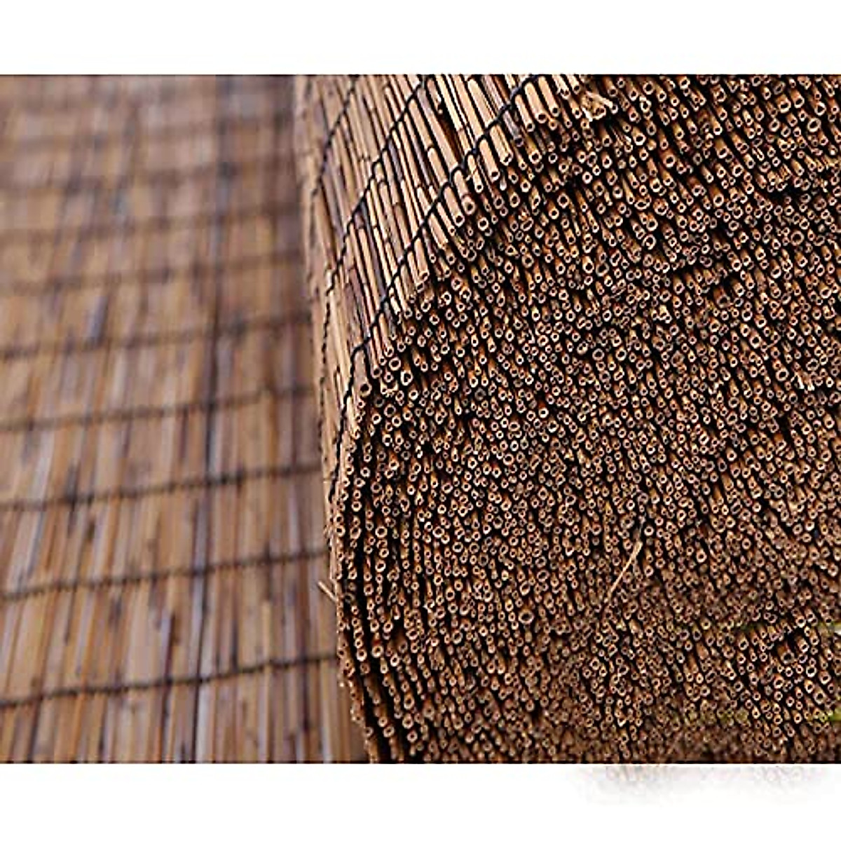 MGCD Natural Reed Fencing,Wall-Mounted Reed Curtain,1-1.5M Wooden Garden Screen Fence,Uv Protection Sunlight Filter for Home Decoration (Size : L1.2XH2.5M)