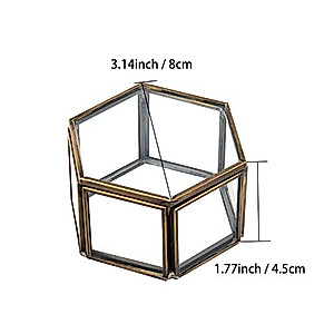 Feyarl Tiny Glass Jewelry Trinket Box Ornate Ring Earring Box Preserved Flower Glass Box Organizer Decorative Box with Lid for Wedding Dresser Deco(Brass)