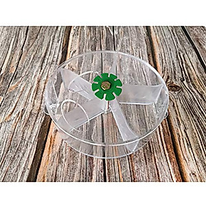 Bird Creative Foraging System Wheel Seed Food Ball Rotate Training Toy for Small and Medium Parrots Parakeet Cockatiel Conure (Clear)