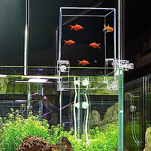 NANEEZOO Negative Pressure Fish Tank, Fish Elevator Inverted Aquarium Vacuum Fish Tower Expanded Swim Area Aquarium Decoration, Vacuum Suspended Fish Tank