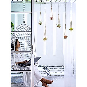 6 Pcs Hanging Wooden Air Plant Holder - 3" Round Wooden Air Plant Hanger with Jute Ropes, Rustic Air Plant Stand Tillandsia Succulent Display Container for Home Office Decor (Plants Not Included)