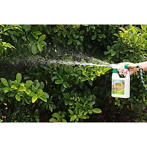 CedarStop 32 Ounce Essential Oil Yard Spray - Plant Based Flea, Tick and Mosquito Repellent Pest Control Spray Treatment and Insect Killer - Safe Around Kids, Pets, and Plants