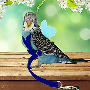 Budgerigar Harness and Leash, Adjustable Parrot Bird Training Design Anti-Bite, Bird Nylon Rope with Cute Wing for Budgerigar and Same Size Birds (S, Blue)