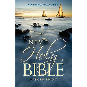 NIV, Holy Bible, Larger Print, Paperback
