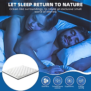 Free Flow Full Water Bed Mattress, PVC Softside Water Bed with Smart Thermostats and Waterbed Fill and Drain Kit, Multifunction and Durable Foldable Water Bed Set for Elderly, Adults (Queen)