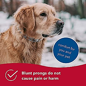 Herm SPRENGER Ultra-Plus Prong Dog Training Collar, 2.25 mm x 13" Neck Size, 2.25 mm x 16" Chain Length, Steel Chrome Plated Dog Prong Collar, Pinch Collar for Dogs, Dog Correction Collar