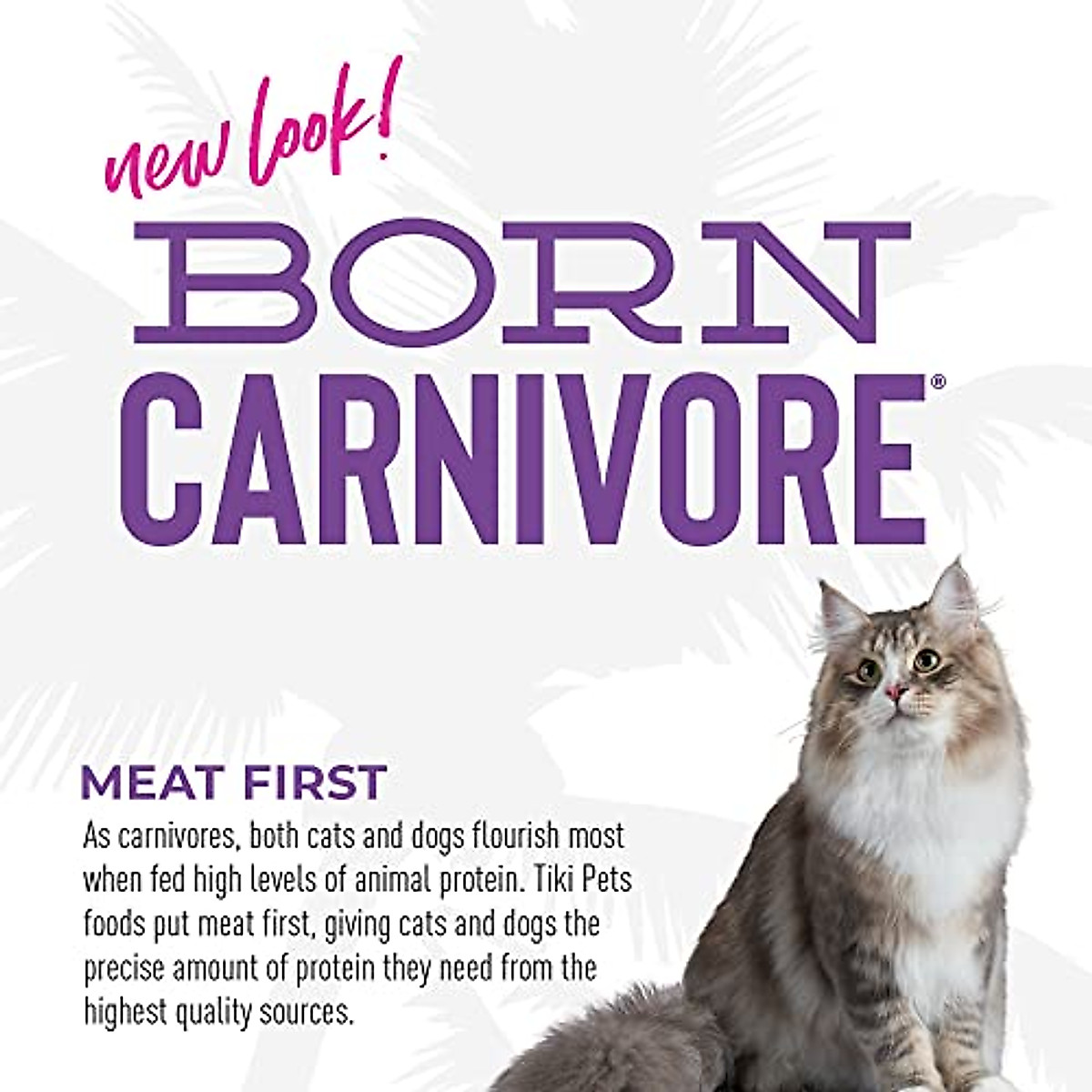 Tiki Cat Born Carnivore High Protein, Chicken, Herring & Salmon Meal, Grain-Free Baked Kibble to Maximize Nutrients, Dry Cat Food, 5.6 lbs. Bag