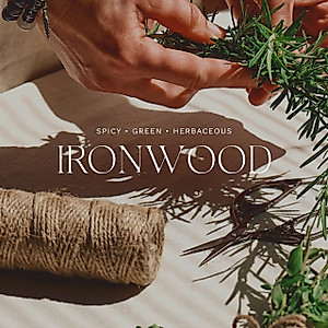 Antica Farmacista Reed Diffuser Ironwood, 17 Fl Oz