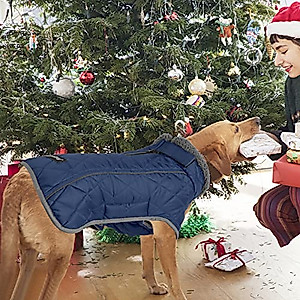 Fragralley Dog Winter Coat Jacket - Reflective Adjustable Windproof Dog Turtleneck Clothes, Doggie Cold Weather Vest, Warm Fleece Lining Puppy Snow Coat for Small Medium Large Dogs (Medium, Blue)