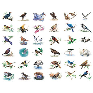 Seasonstorm Watercolor Birds Precut Cute Aesthetic Diary Travel Paper Junk Journal Stickers Scrapbooking Stationery Sticker Flakes Art Supplies (PK351)