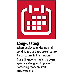 Cockroach Glue Trap by Catchmaster - 6 Count, Ready to Use Indoors. Spider Scorpion Insect Bug Trap Sticky Adhesive Long-Lasting Print Design Fold-able Poison-Free Non-Toxic - Made in The USA