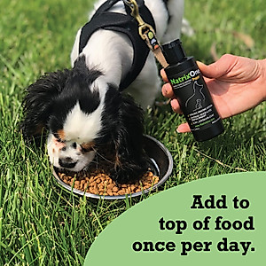 Puppy Vitamins and Supplements by Natrixone All-Natural Supplement for Puppies, Omega 3 6 9 Plus Immune System and Cognitive Development Booster, 8 Oz