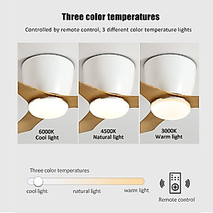 GESUM Flush Mount Ceiling Fans with Lights, 22'' Small Ceiling Fans Remote & APP Control, 3CCT Dimmable, Quiet DC Motor for Patio Kitchen Bedroom