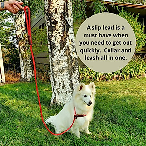 Pet Emergency Kit for Medium Dogs