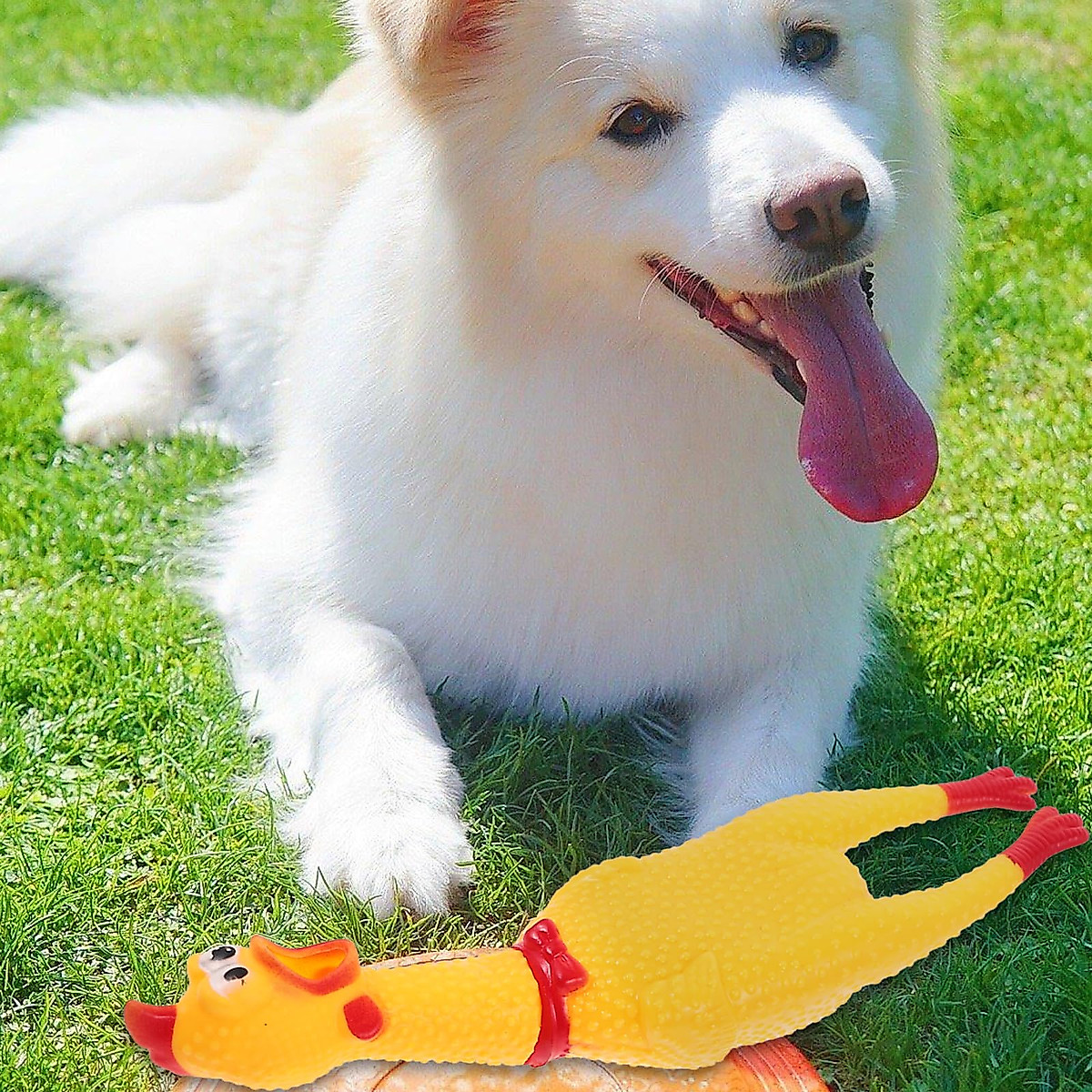 NUOBESTY Yellow Rubber Chicken Novelty Screaming Chicken Prank Yellow Rubber Squawking Chicken Noise Maker Funny Rubber Chicken Pet Toy, 6 Pack