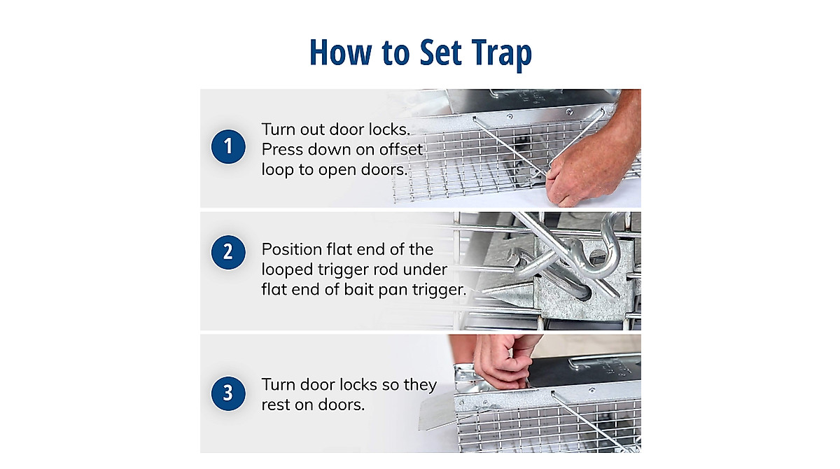 Havahart 1025 Small 2-Door Humane Animal Trap - Safe & Effective
