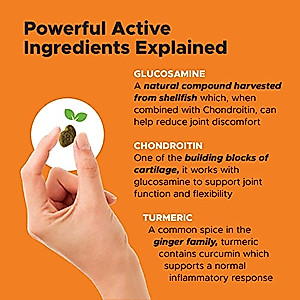 PetHonesty Hip & Joint Health - Dog Joint Supplement Support for Dogs with Glucosamine Chondroitin, MSM, Turmeric - Glucosamine for Dogs Soft Chews - Advanced Pet Joint Support and Mobility - (90 ct)