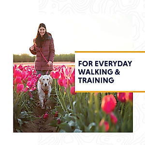 Ruffwear, Front Range Dog Harness, Reflective and Padded Harness for Training and Everyday, Hibiscus Pink, Medium