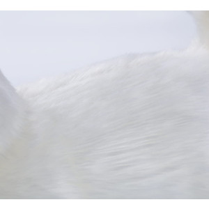 CU-MATE Maltese Stuffed Animal Simulation Dog -Realistic & Lifelike Soft Handmade Lying Dog Plush Toy Puppy -Present Gift for Boys and Girls