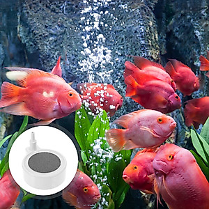 POPETPOP Round Fish Tank Aquarium Air 5CM Round Oxygen Fish Tank Air Oxygen Diffuser for Hydroponics Aquarium Fish Tank OUL Diffuser Air Diffuser Air Diffuser Air Diffuser Air Diffuser
