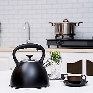 ARC, 346, 3.2 Quart / 3L Tea Kettle Food Grade with Heat Resistance Handle, Stainless Steel Teapot for Stovetop, Anti-Rust and Loud Whistling (3L - Black durable color 3)