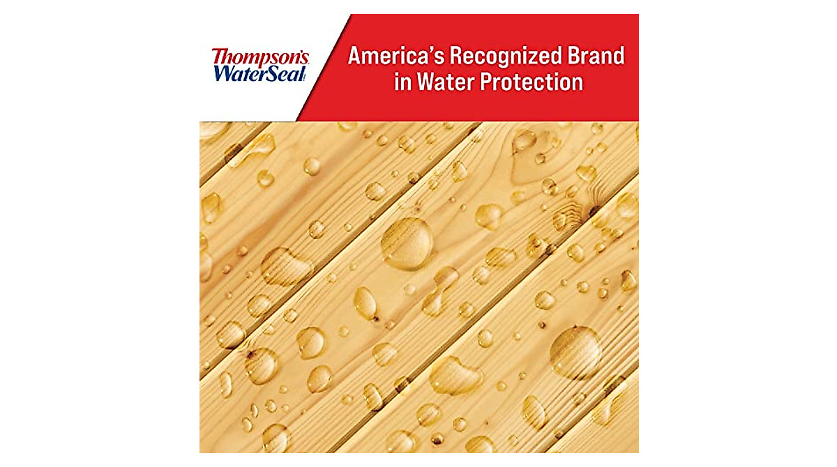 Thompson’s WaterSeal Clear Waterproofer - 12 oz Aerosol