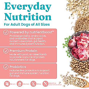 Solid Gold Dry Dog Food for Adult & Senior Dogs - Made with Real Lamb & Brown Rice - NutrientBoost Hund-N-Flocken Healthy Dog Food for Weight Management & Better Digestion - 3.75 LB Bag