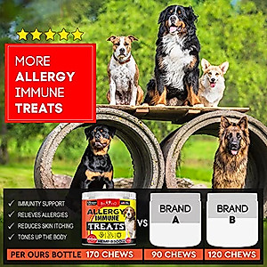 Dog Anti Itch & Allergy Relief Chews - Dry Itchy Skin & Hot Spot Treatment with Probiotic, Omega 3 Oil, Hemp - Immune Supplement & Seasonal Allergies Medicine for Dogs, Puppy - 140 Bites Made in USA