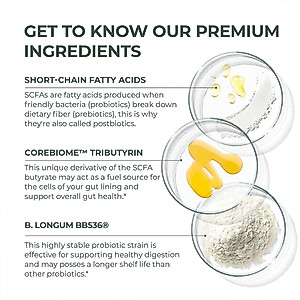 Primal Harvest Restore for Gut Health, Primal Gut Restore w/POSTbiotics, PREbiotics and PRObiotics for Women and Men, 60 CT - Digestion, Colon Cleanse, Immunity Support - Helps Leaky Gut Repair