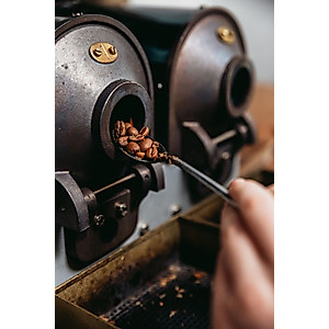 Bristot Decaf Italian Coffee Beans | Italian Espresso Beans Whole | Medium Roast | 1.1 lb/500g