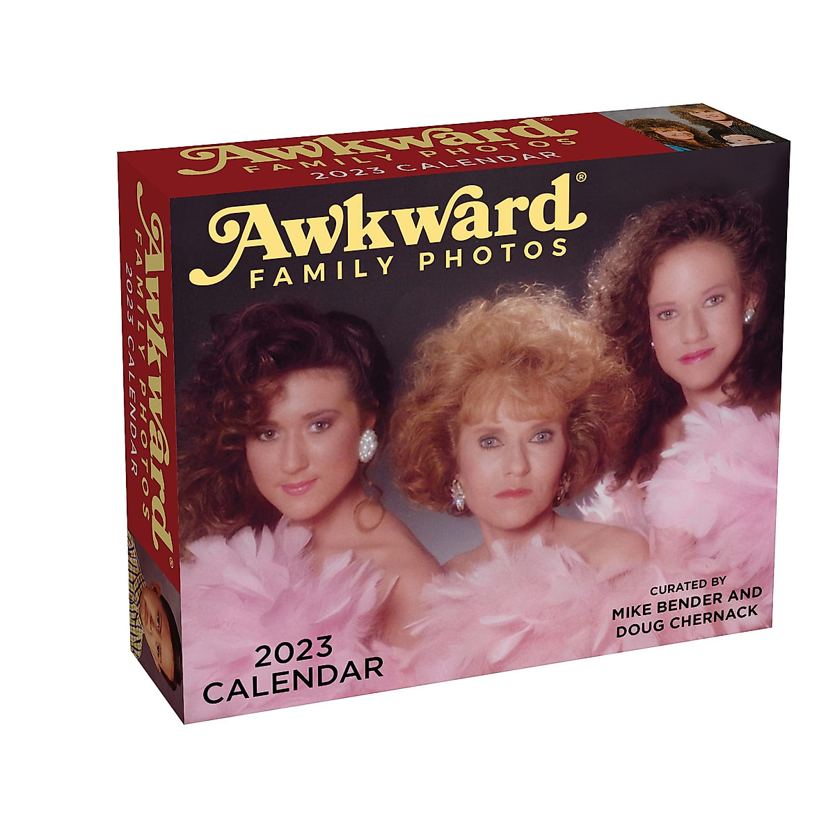 Awkward Family Photos 2023 Day-to-Day Calendar