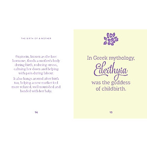 The Little Book of Mom: Little Words of Strength, Wisdom and Love (The Little Books of Humor & Gift, 5)