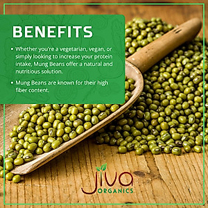 Jiva Organic Mung Bean - Mung Moong Beens Whole for Sprouting and Cooking - 2 lb Bean Bag – Indian Spices