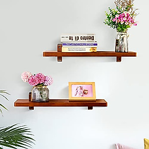 Bielebbi Floating Shelves, Wall Shelves, Bathroom Shelves, Decor Wall Mounted Shelves, L23.4xW5.9 Shelves for Wall Decor Set of 2, Floating Shelf for Bedroom, Bathroom, Kitchen