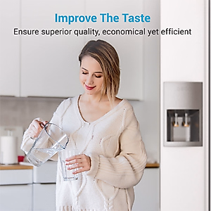 AQUA CREST Replacement for Frigidaire® & Electrolux® WF2CB®, PureSource2®, NGFC 2000, FC100, 1004-42-FA, Kenmore 9916, 469911, 469916 Refrigerator Water Filter, 2 Filters