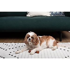 peaksNpaws Premium Cheese Chews -All Natural - 100% Digestibility - Grain, Gluten & Stink Free - Low in Fat, High in Protein - Small Value Pack Chicken Flavor