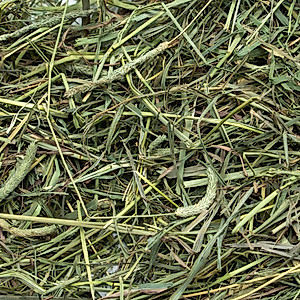 Rabbit Hole Hay - Ultra Premium Medium Timothy Hay for Small Pets - 12 oz Pack - Optimal for Small Pets