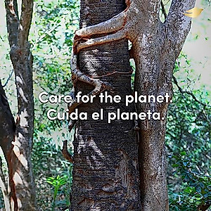 Dove Shampoo and Conditioner Set - Nourishing Secrets Coconut Shampoo and Conditioner, Hydrating Shampoo for Dry Hair, Frizz Control, 31 Oz (2 Piece Set)