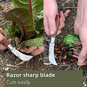 Folding Garden Knife. This Hawkbill Blade is Curved Making it Great for Hundreds of Uses. Not Just a Great Gift for a Gardener.