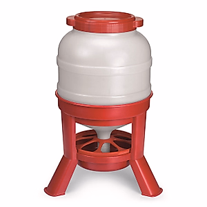 Little Giant® Plastic Dome Feeder | Heavy Duty Plastic Gravity Fed Poultry Feed Container Tank | Backyard Poultry for Hobbyists, Farmers and Ranchers | 45 LB