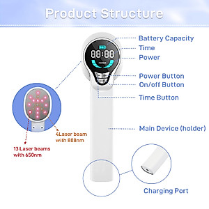 LASWHGDPET Cold Therapy Device for Dogs - Infrared Red Light Therapy Device with Goggles, Portable Therapy Device for Pain Relief Arthritis, Spinal and Promote Blood Circulation with Organizer Bag