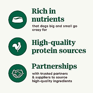 NUTRO PREMIUM LOAF Adult Natural Grain Free Wet Dog Food Slow Cooked Chicken, Potato, Carrot & Pea Recipe, 12.5 oz. Cans (Pack of 12)