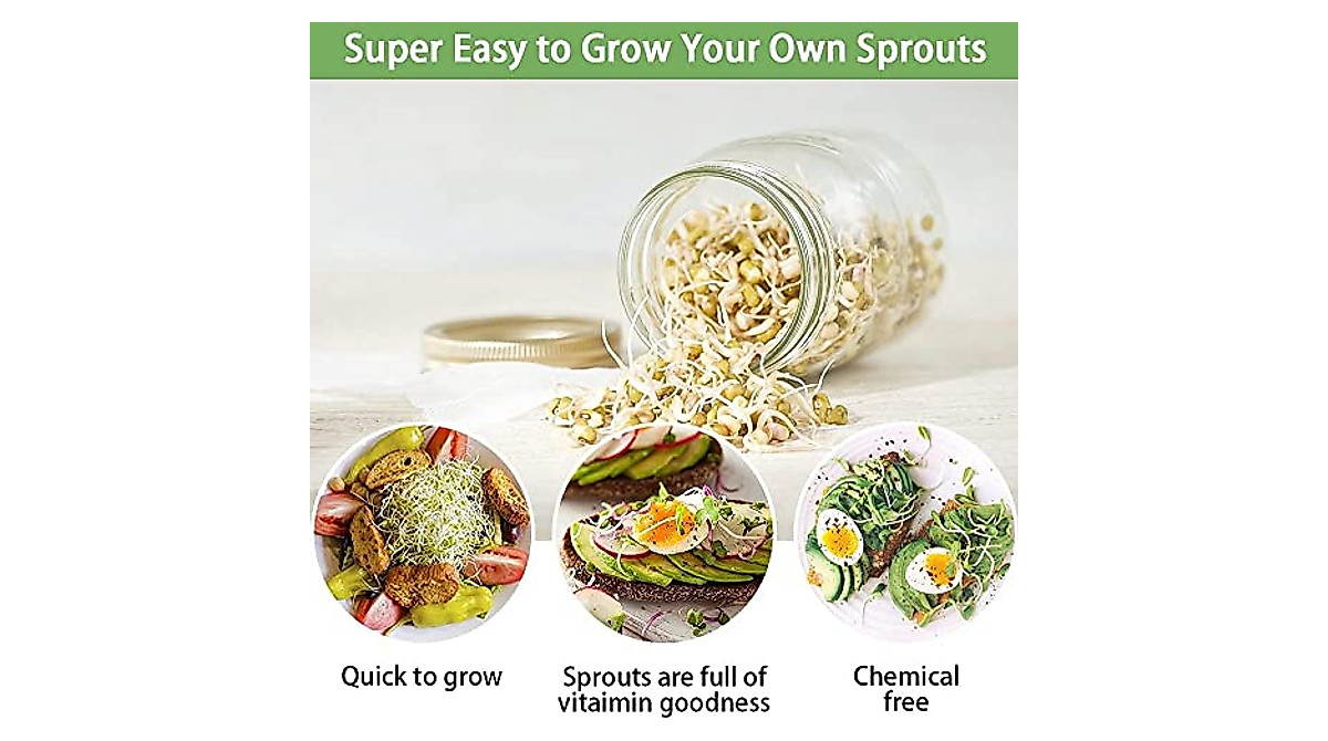Home Seed Sprouting Kit | Grow Fresh Broccoli, Alfalfa & More
