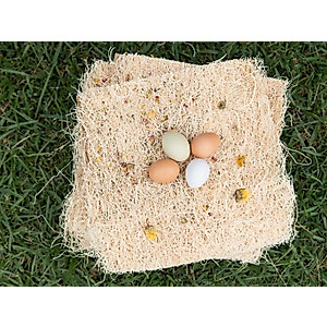 My Favorite Chicken Poultry Nest Box Herbs - Certified Organic Aromatic Nesting Herbs for Hens