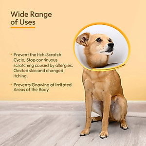 Animal Ortho Care Pet Cone E-Collar | Dog Cone, Recovery Cone for Dogs After Surgery, Lightweight, Comfortable & Durable, Easy-to-Clean, Soft Microfiber Lining - Large