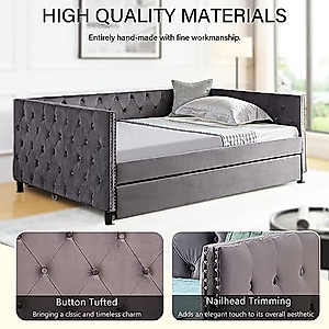 KINFFICT Full Size Daybed with Trundle, Velvet Upholstered Sofa Day Bed Frame with Botton Tufted and Nailhead Trim, Furniture for Living Room, Bedroom, Guestroom, No Box Spring Needed