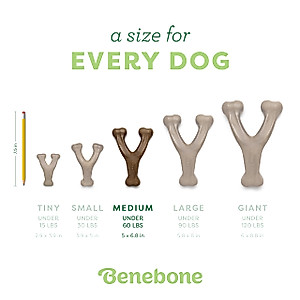 Benebone Wishbone Durable Dog Chew Toy for Aggressive Chewers, Real Chicken, Made in USA, Medium